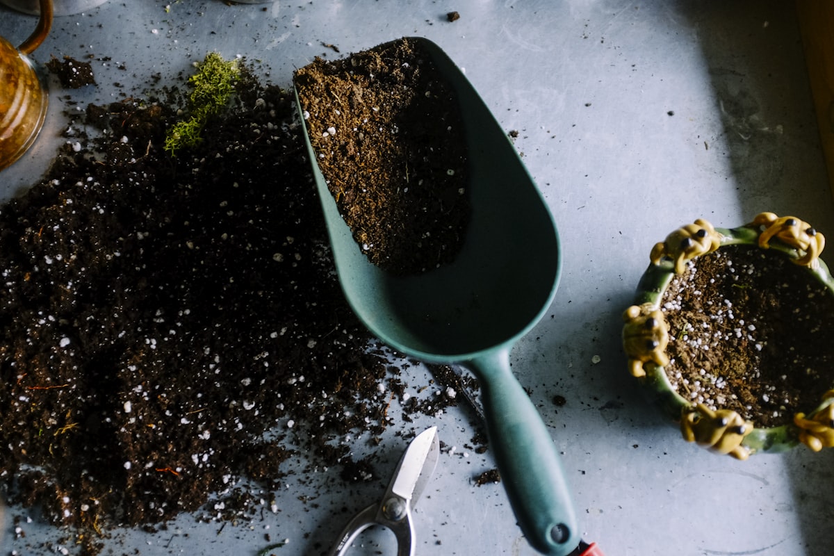 Companion Planting: How Certain Plants Help Each Other Thrive | The ...